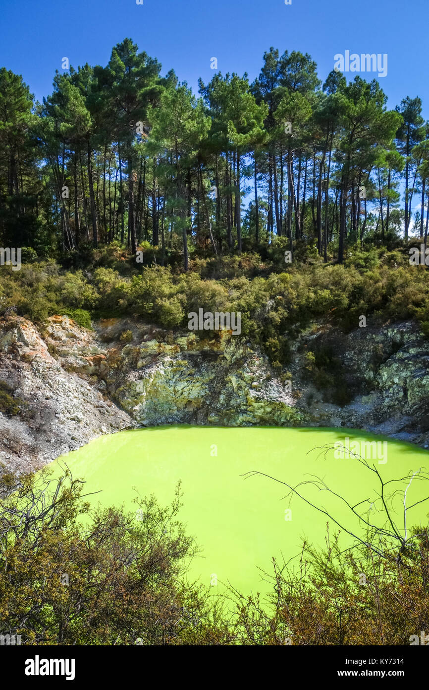 green lake in Waiotapu geothermal area, Rotorua, New Zealand Stock ...
