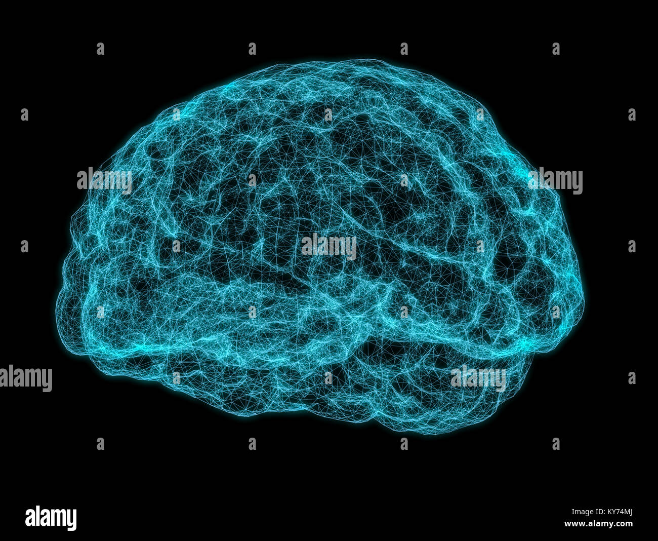 X-ray image of human brain Stock Photo - Alamy