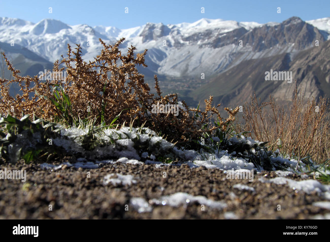 Dry grass and mountain near Damavand volcano in Iran Stock Photo - Alamy