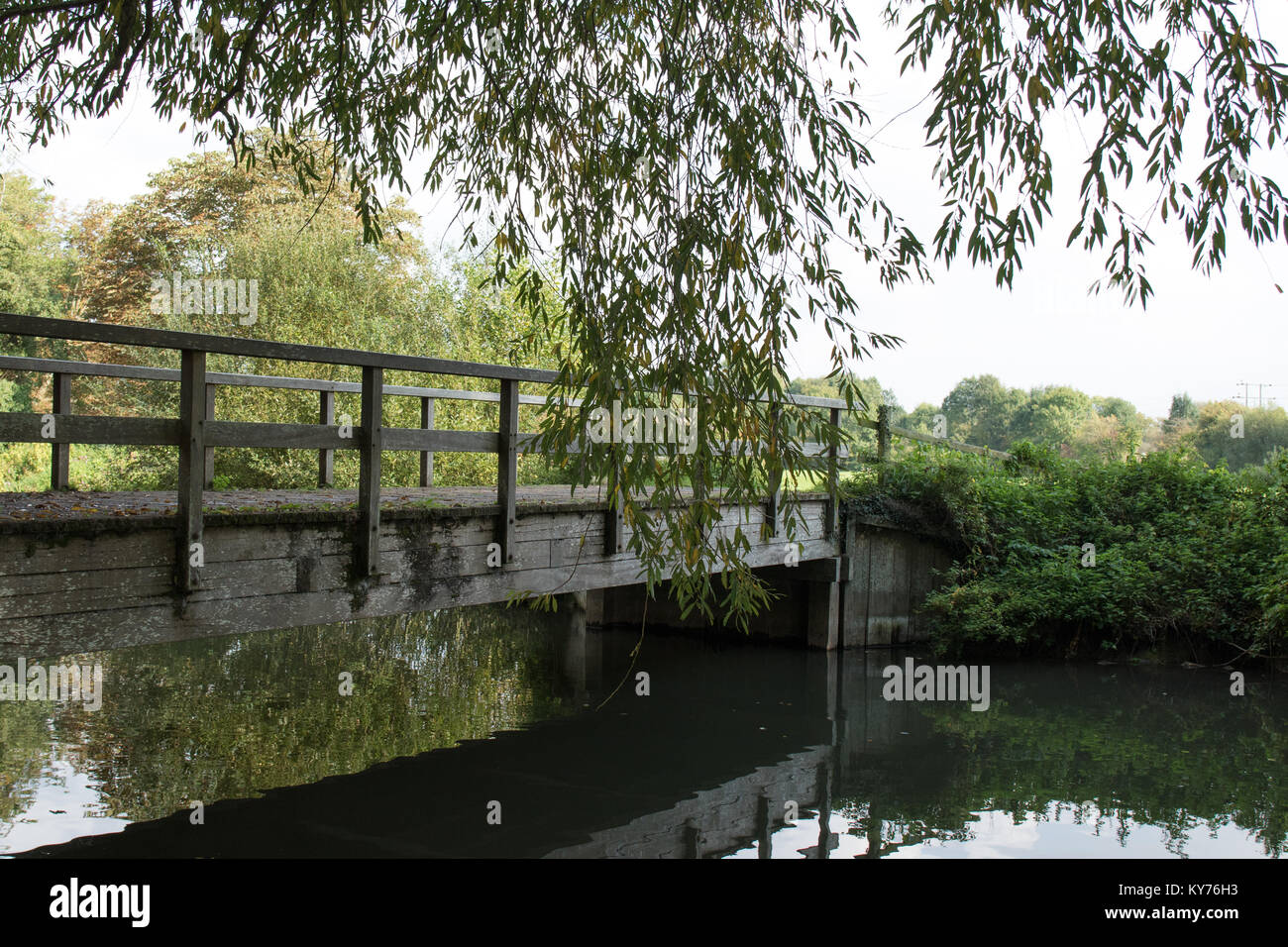 Trees overhanging river hi-res stock photography and images - Alamy