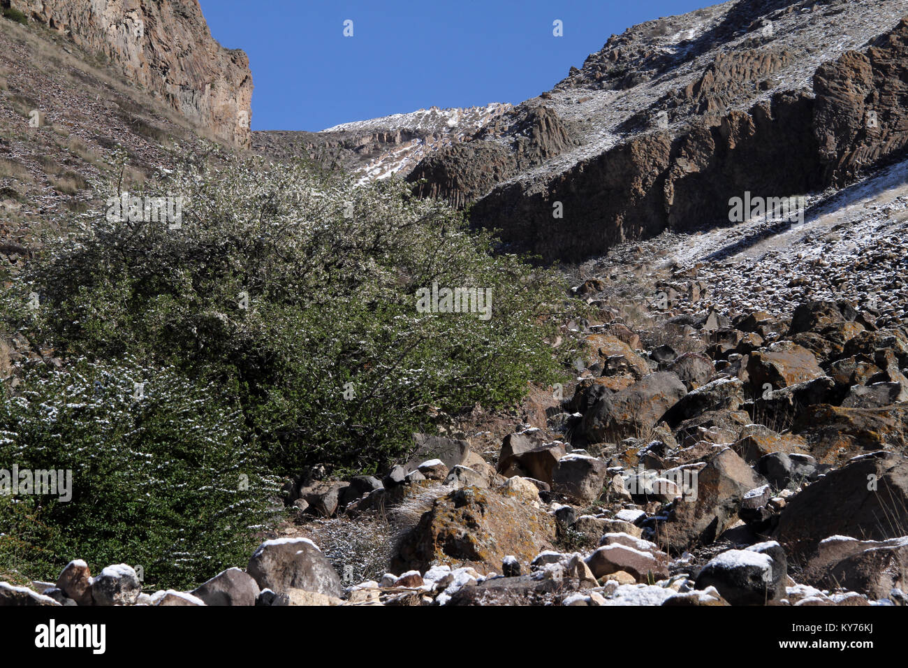 Gorge with bush in mountain in Iran Stock Photo - Alamy