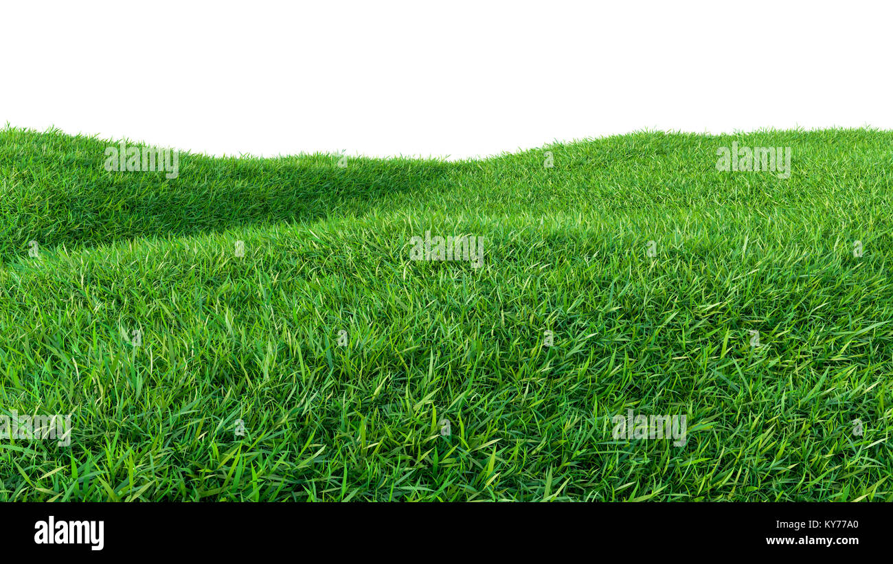 Green grass field isolated on white background Stock Photo - Alamy