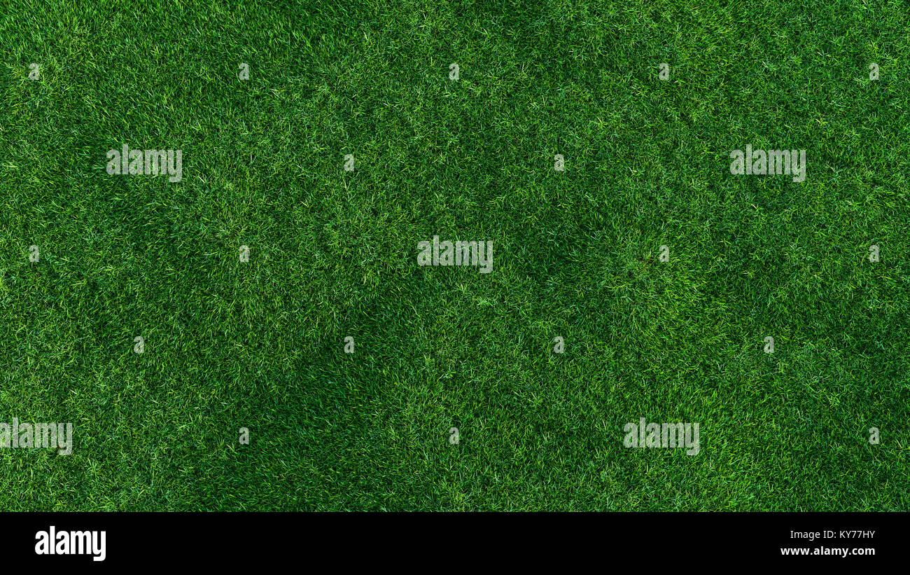 Green grass field on small hills, isolated Stock Photo - Alamy