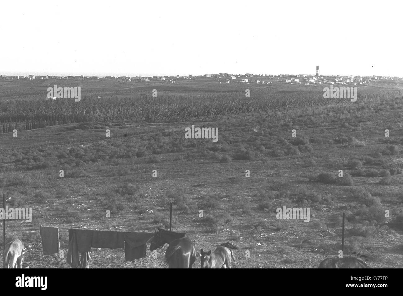 Emek hefer hi-res stock photography and images - Alamy