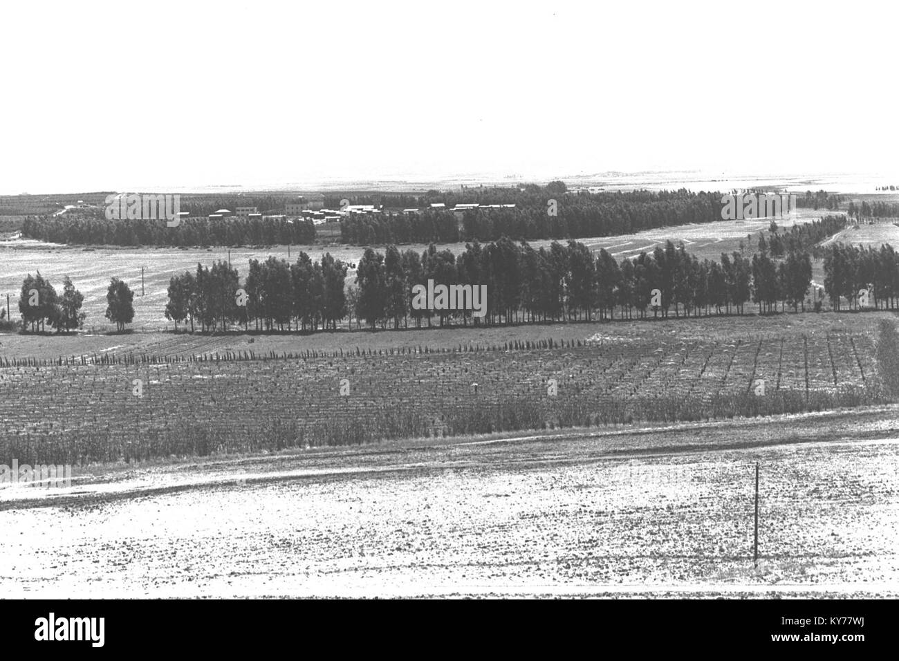 VIEW OF EMEK HEFER IN THE SHARON PLAIN. נוף של עמק חפר.D20-120 Stock ...