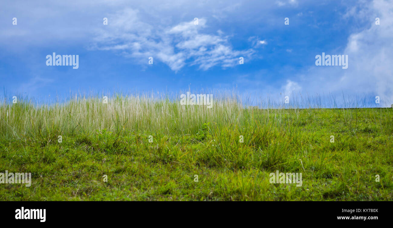 Desktop soothing wallpaper hi-res stock photography and images - Alamy