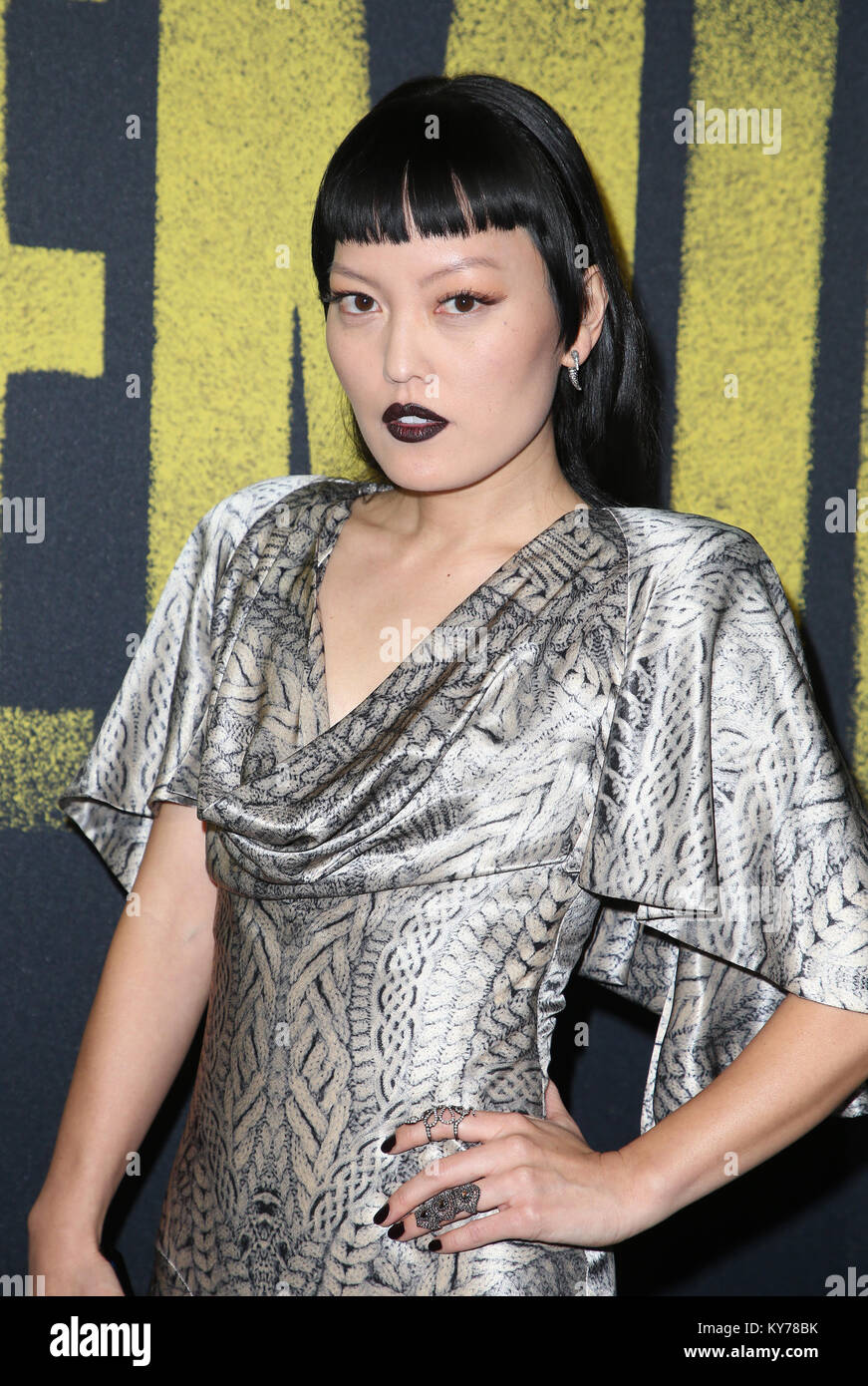 Premiere Of Universal Pictures' 'Pitch Perfect 3' Featuring: Hana Mae ...
