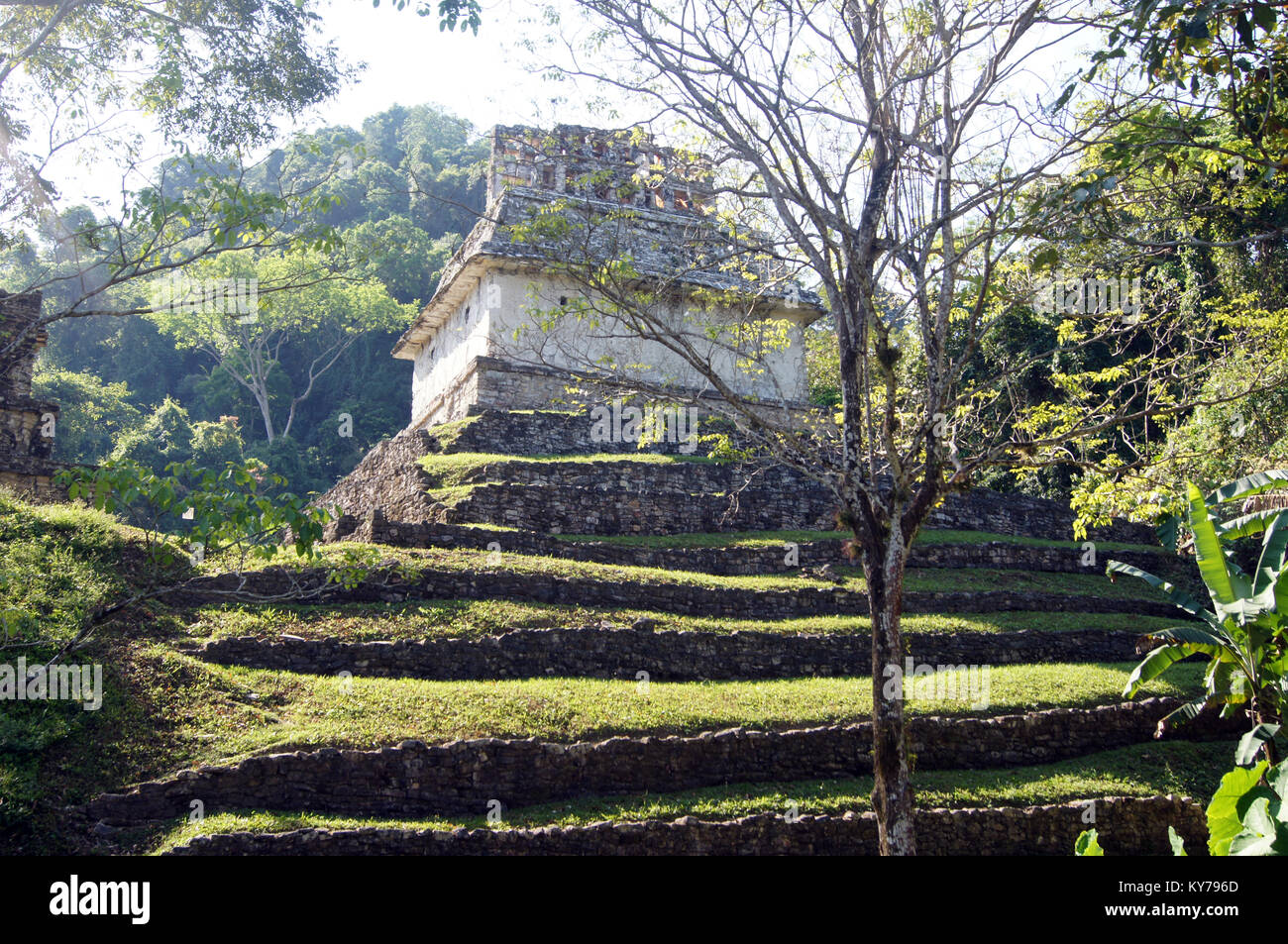 Maya temple on top of pyramid hi-res stock photography and images - Alamy