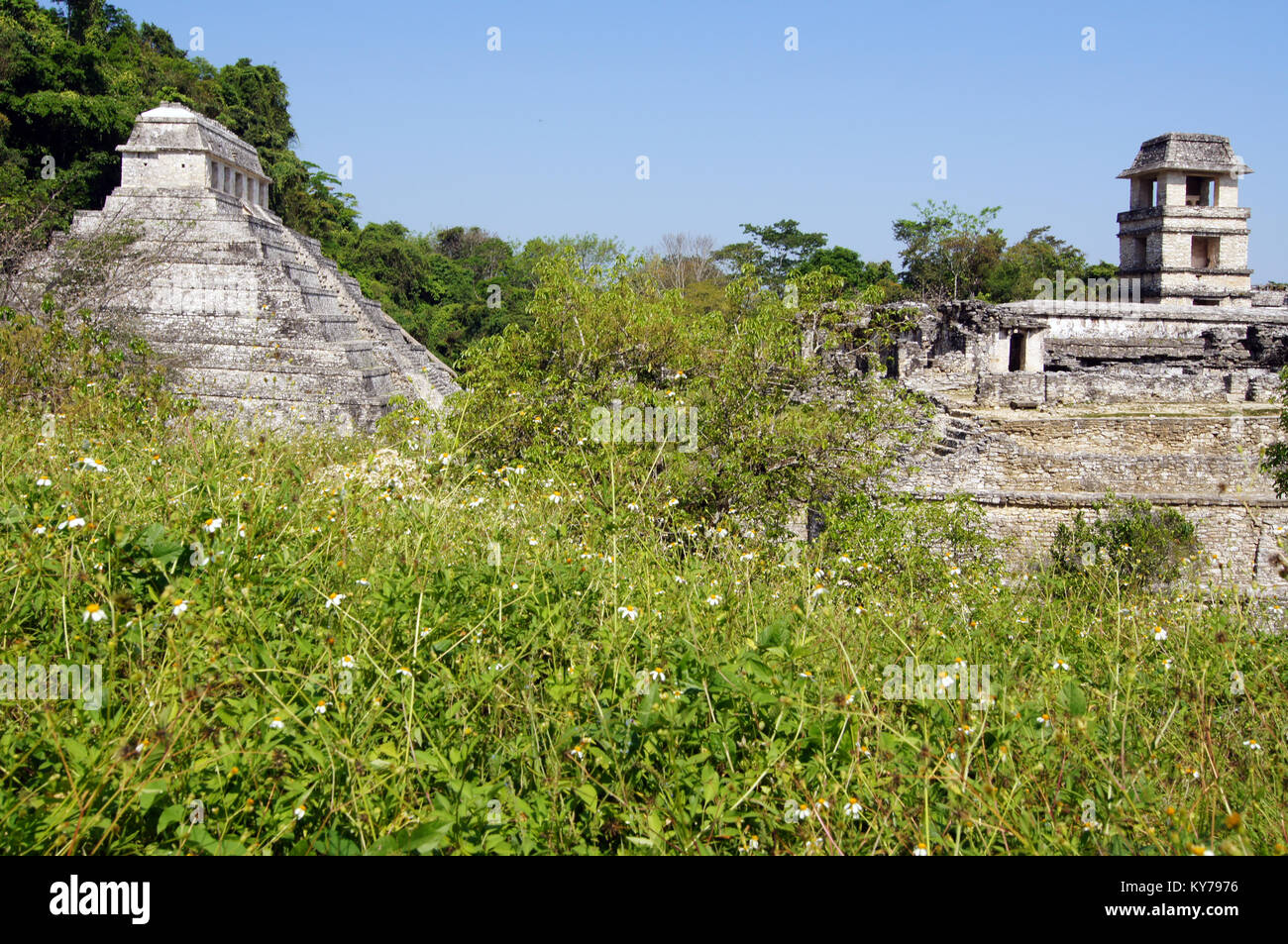 Temple of the Inscriptions and Temple of the Count in Palenque, Mexico ...