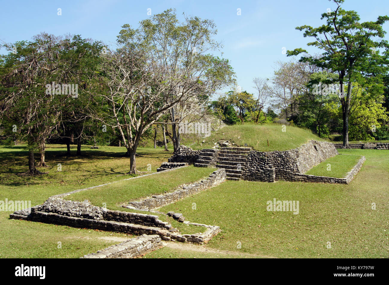Trees, gras and small piramid in Palenque, Mexico Stock Photo - Alamy