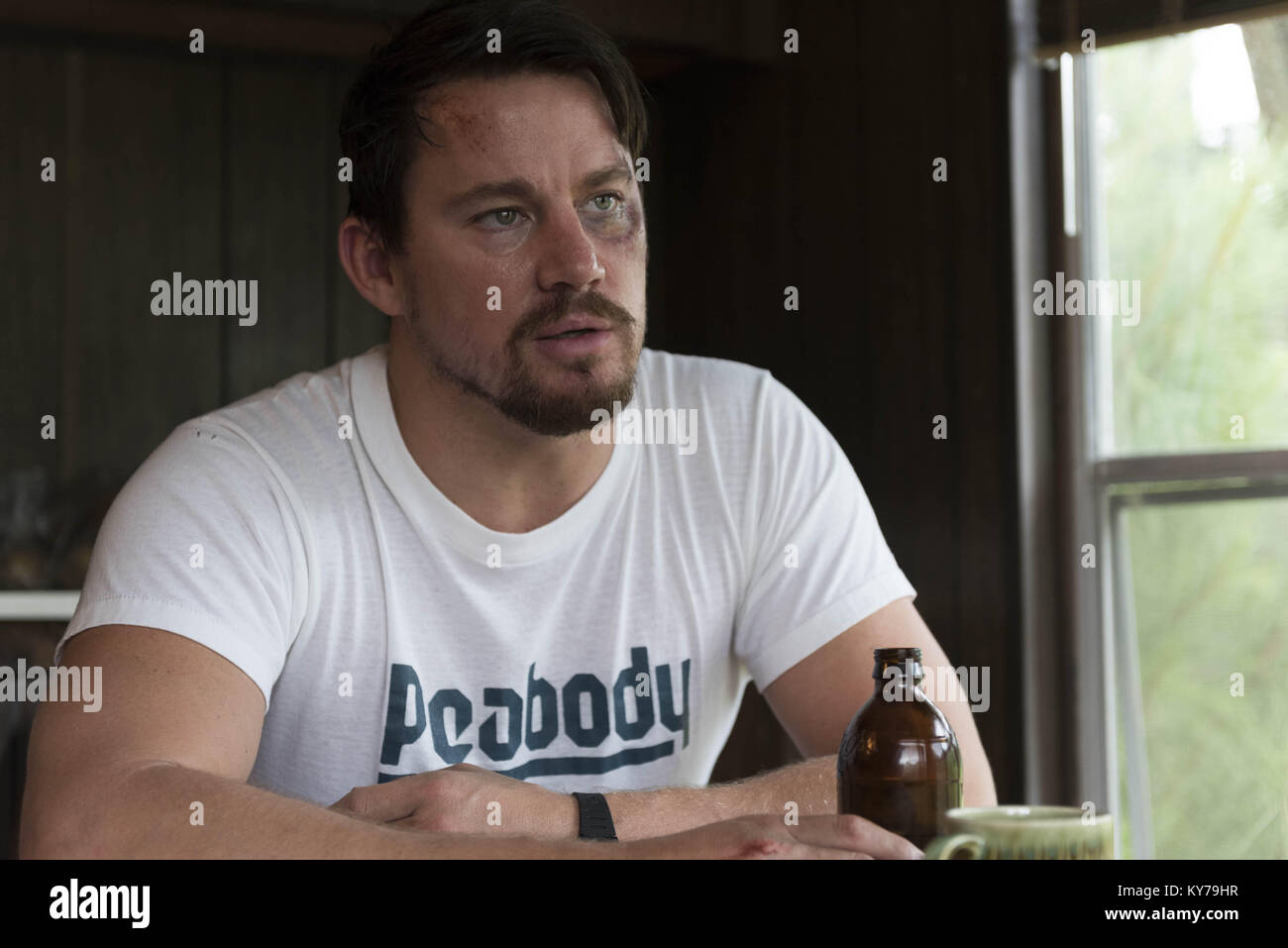 RELEASE DATE: August 18, 2017 TITLE: Logan Lucky STUDIO: Trans-Radial ...