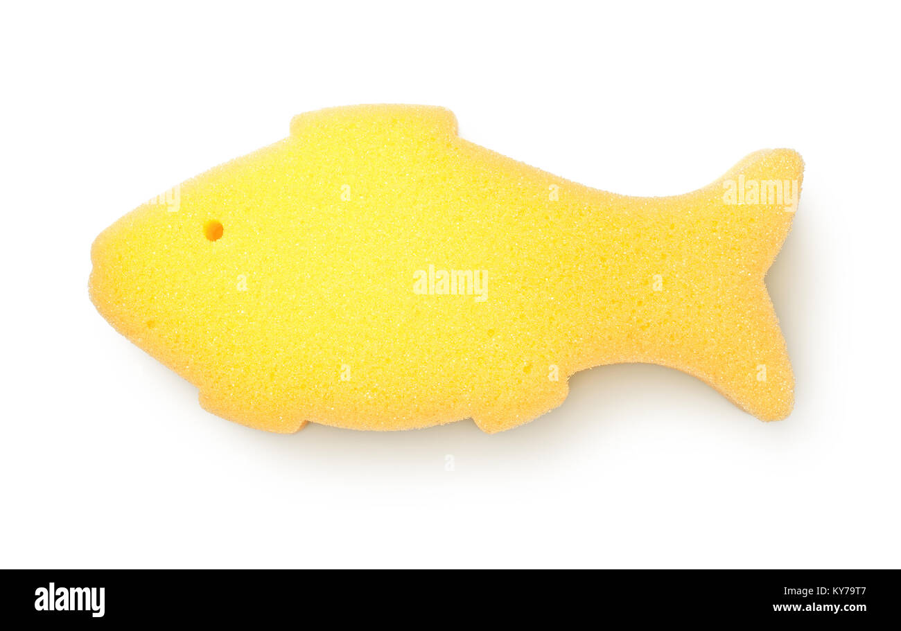 Yellow fish sponge isolated on white background. Top view Stock Photo ...