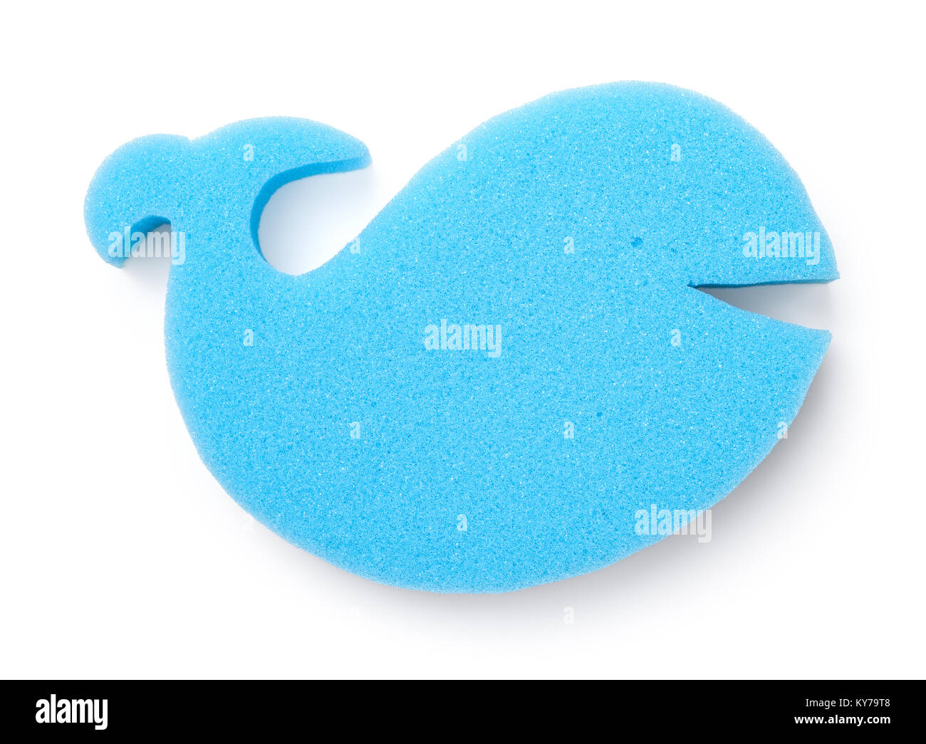 Blue whale sponge isolated on white background. Top view Stock Photo ...