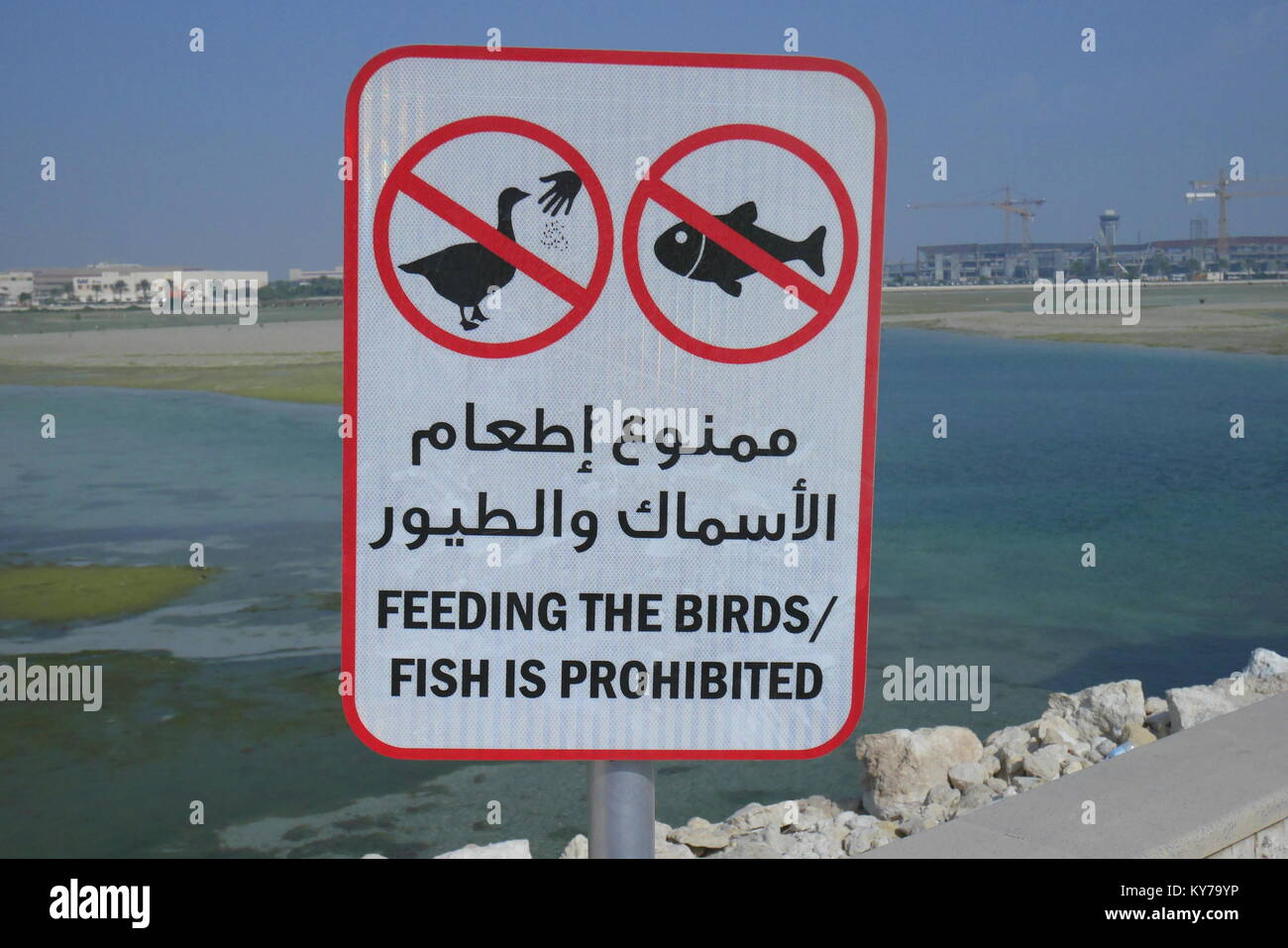 Sign in Arabic and English warning against feeding the birds and fish ...
