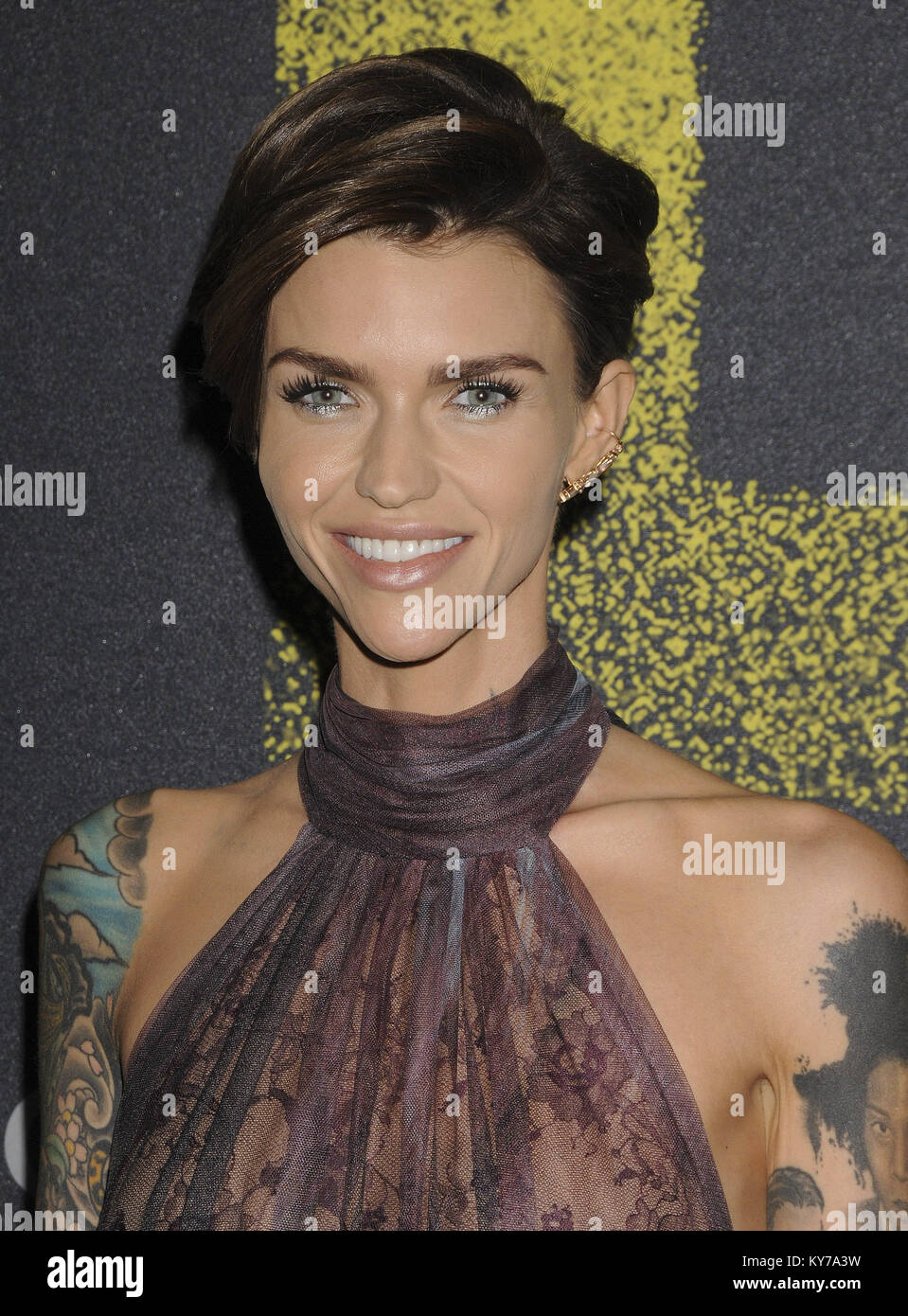 Film Premiere of 'Pitch Perfect 3' - Arrivals Featuring: Ruby Rose ...