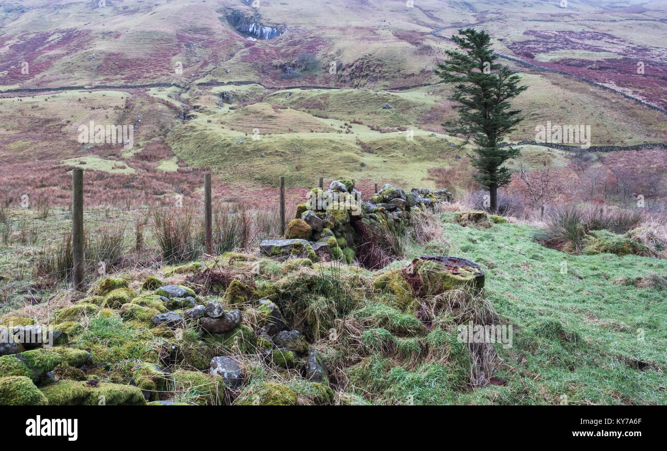 A rugged Scottish hillside in winter after the snow had melted. A ...