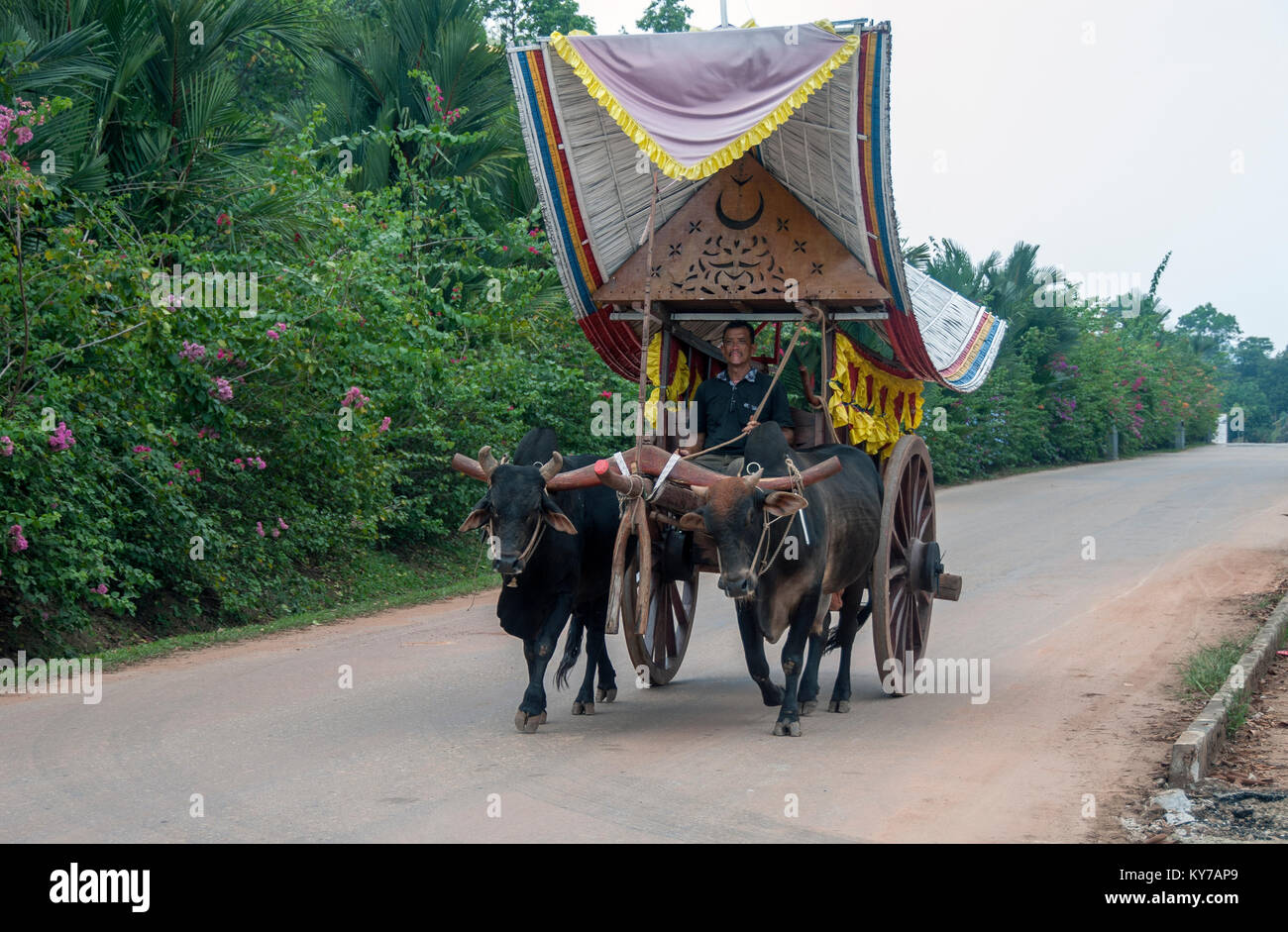 Human yoke hi-res stock photography and images - Alamy