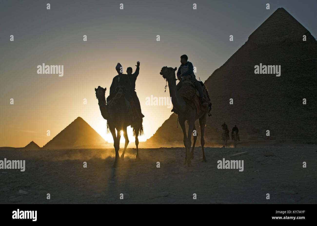 Tourists on camel back returning at end of day from their visit to the ...