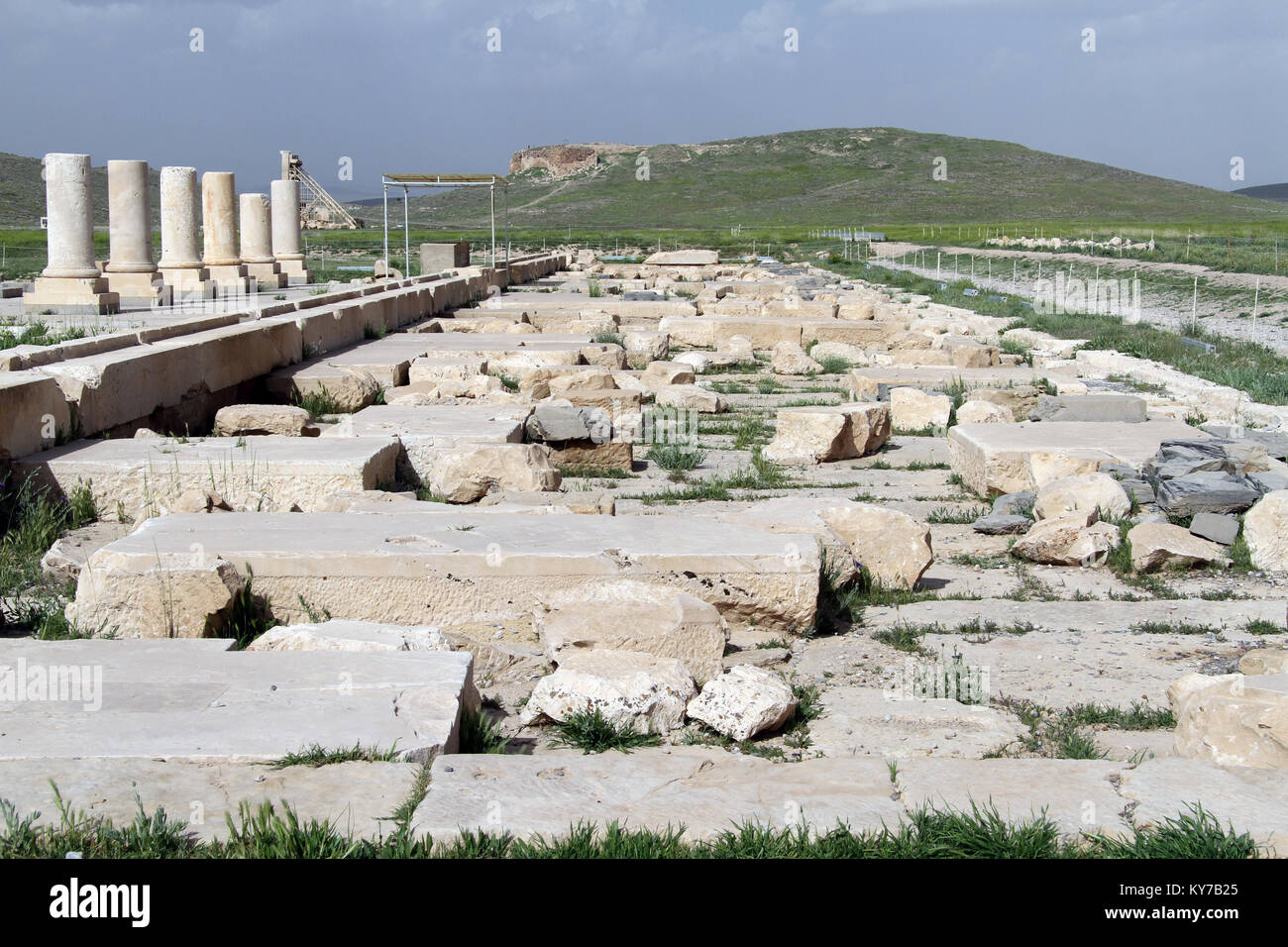 Columns and ruins in Pasargade, Iran Stock Photo - Alamy