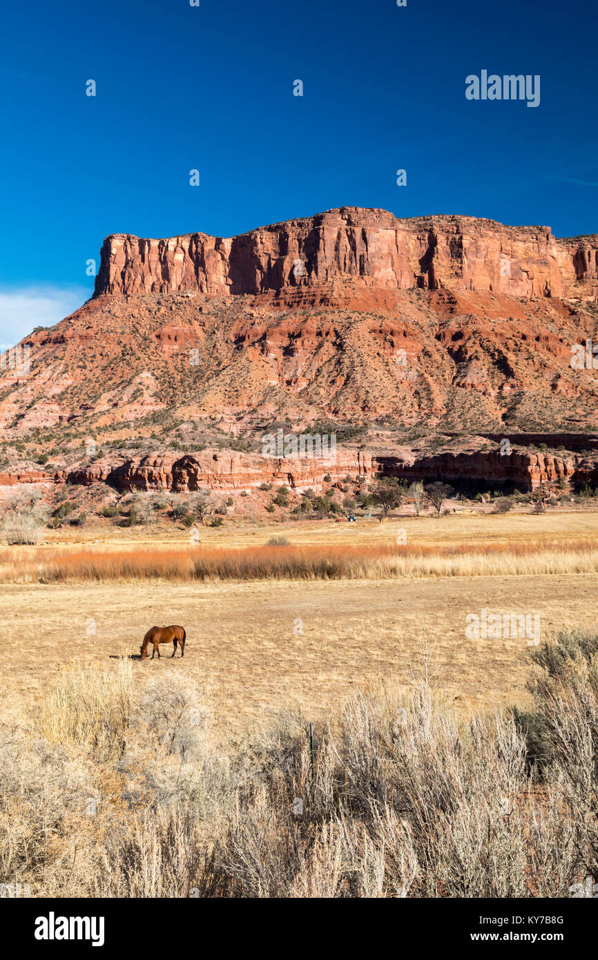 Gateway, Colorado - A horse grazes below a butte in Colorado's canyon ...