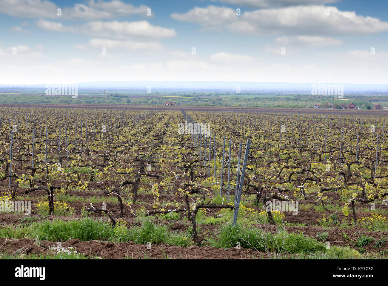 Country landscape spring hi-res stock photography and images - Alamy