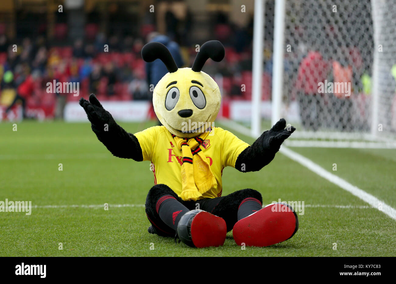 Watford mascot Harry the Hornet before kick-off in the Premier League ...