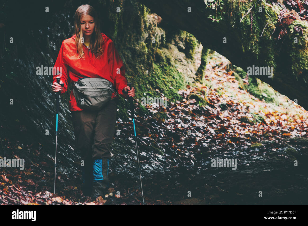 Woman Traveler hiking in forest Lifestyle adventure concept active ...