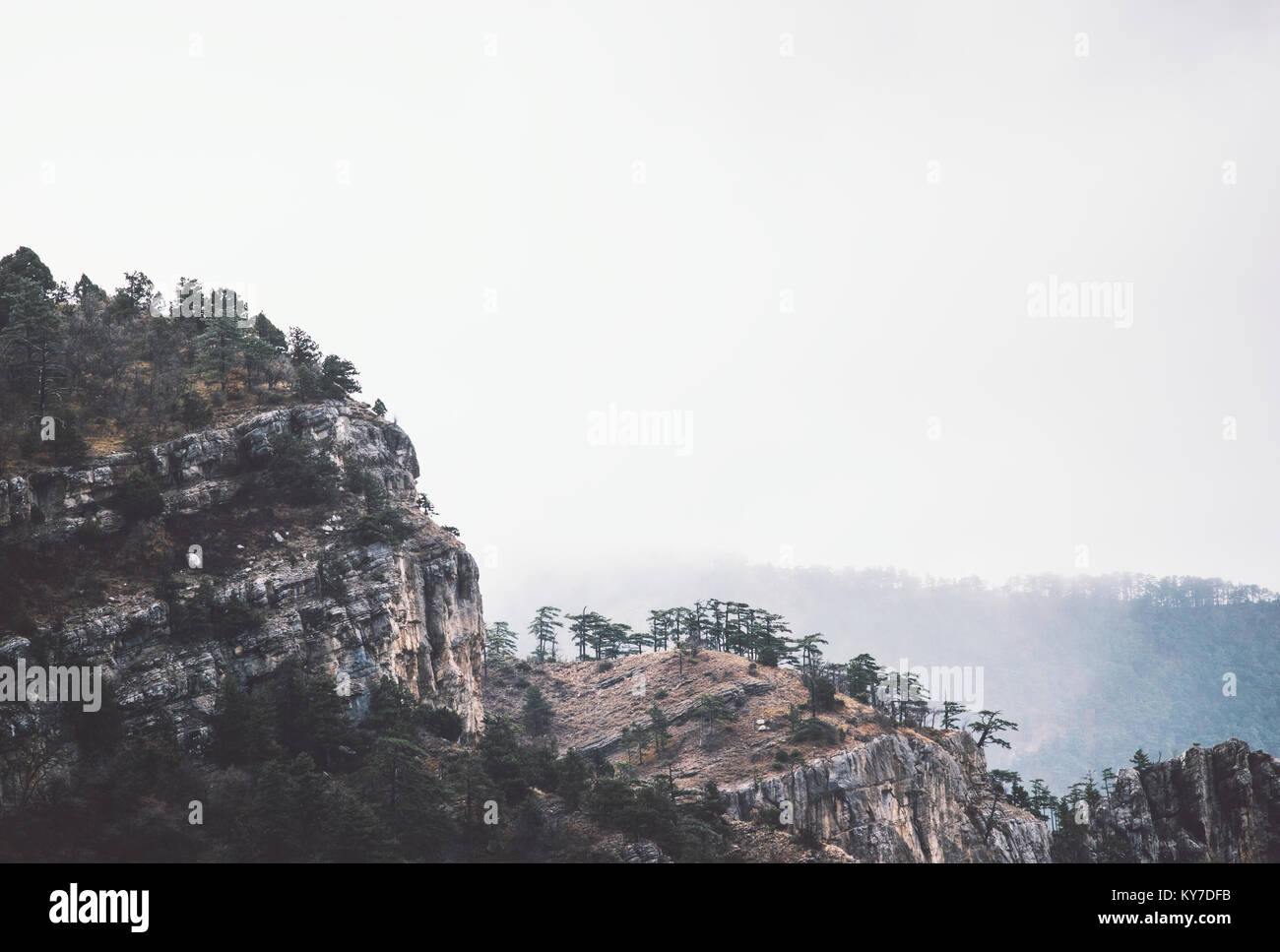 Foggy rocky Mountains cliff with Forest Landscape background Travel ...
