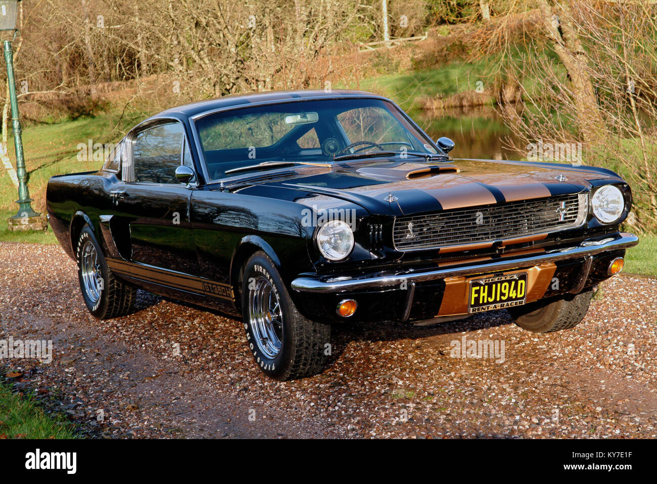 1966 Shelby Mustang GT350H Hertz model Stock Photo - Alamy