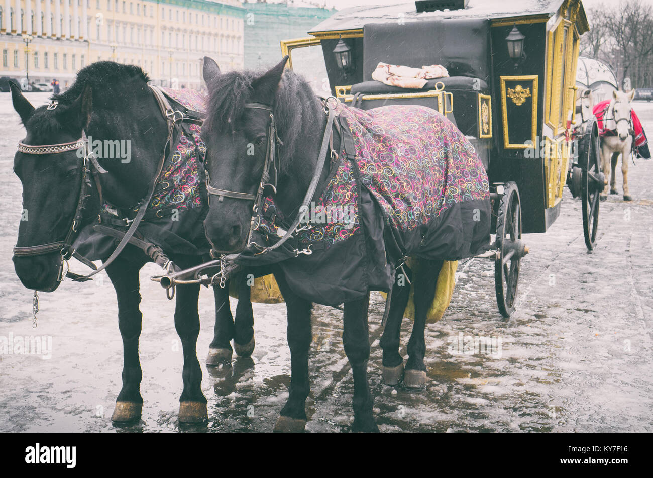 Russian carriage museum horse hi-res stock photography and images - Alamy