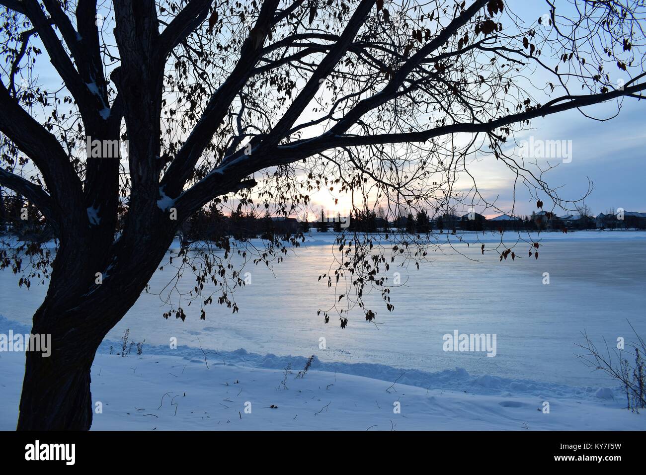 Tree framed hi-res stock photography and images - Alamy
