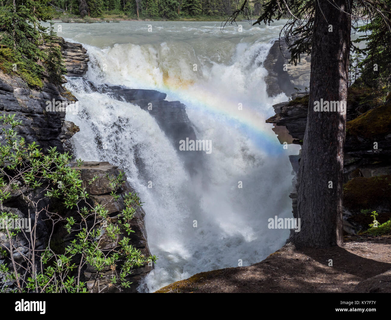 Athabasca Falls, Icefields Parkway, Banff National Park, Alberta ...