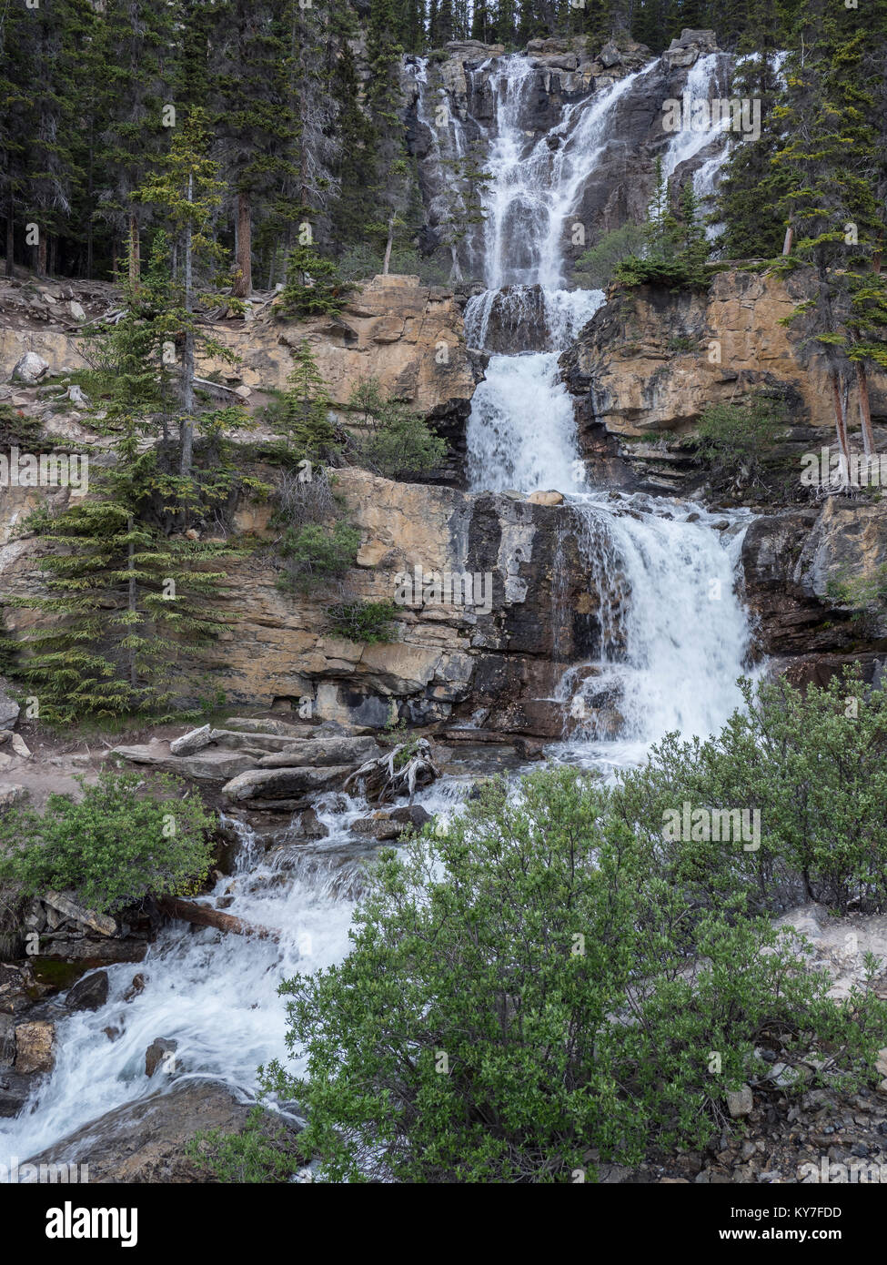 Tangle Creek Falls, Icefields Parkway, Banff National Park, Alberta ...