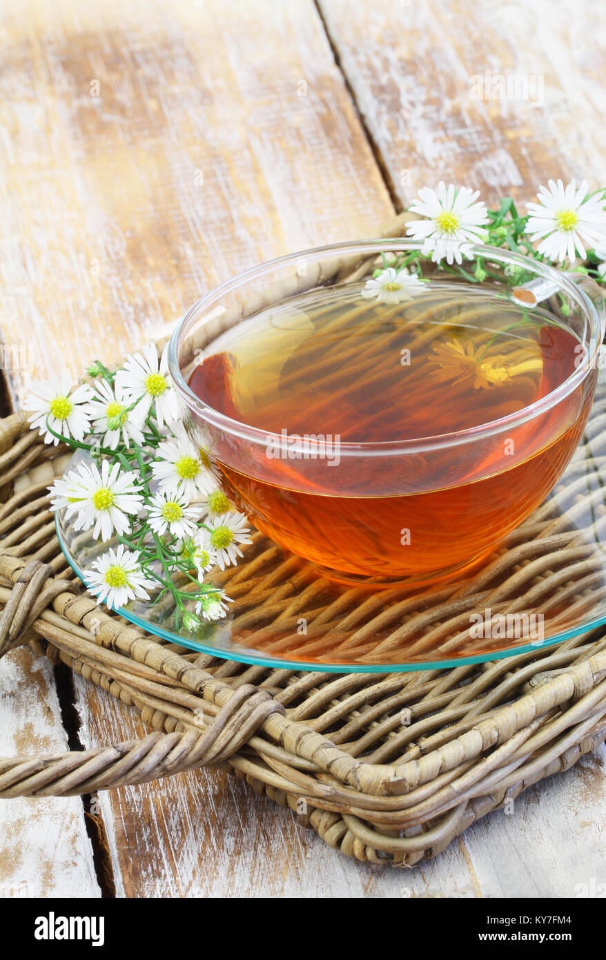 Chamomile tea in transparent cup with fresh chamomile flowers with copy ...