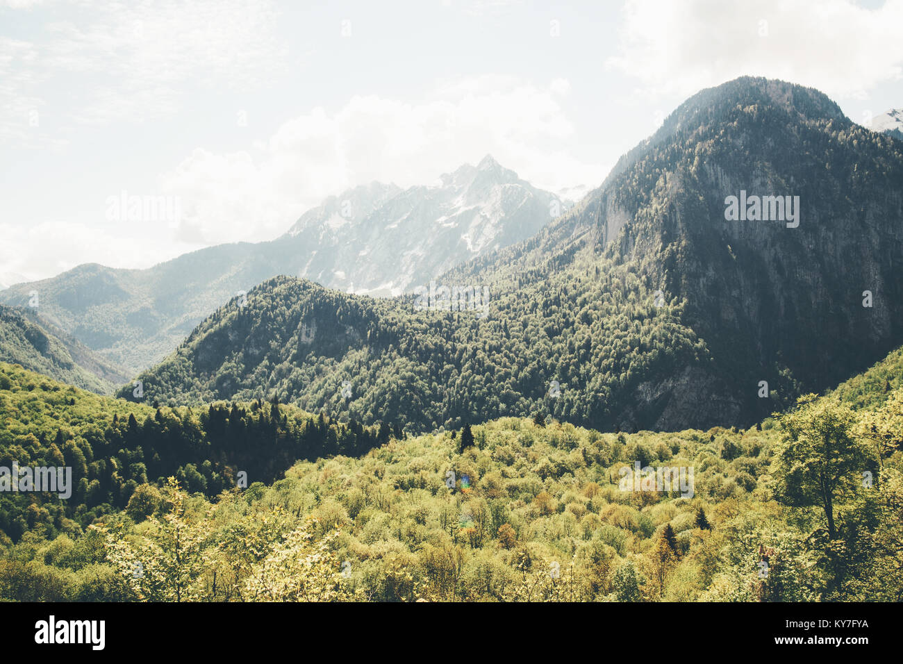 Mountains and Forest Landscape Travel aerial view serene wild nature ...