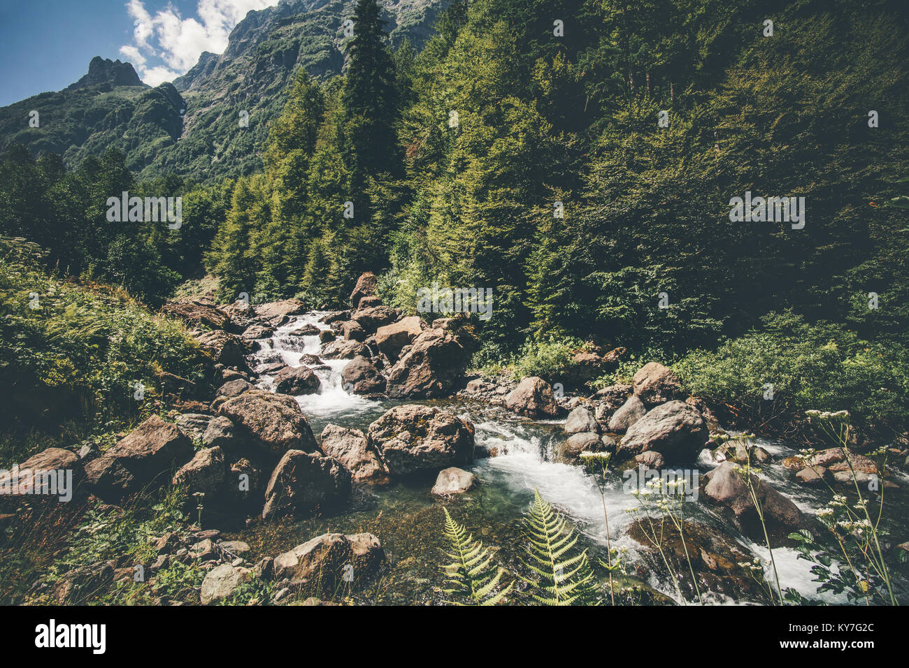 Mountain stream river and deep forest Landscape beautiful scenic view ...