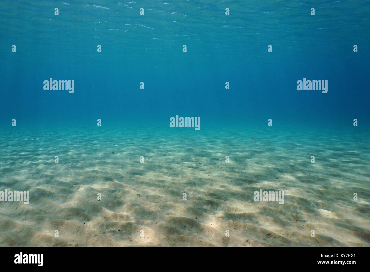 Underwater sand on a shallow seabed in the Mediterranean sea, natural ...