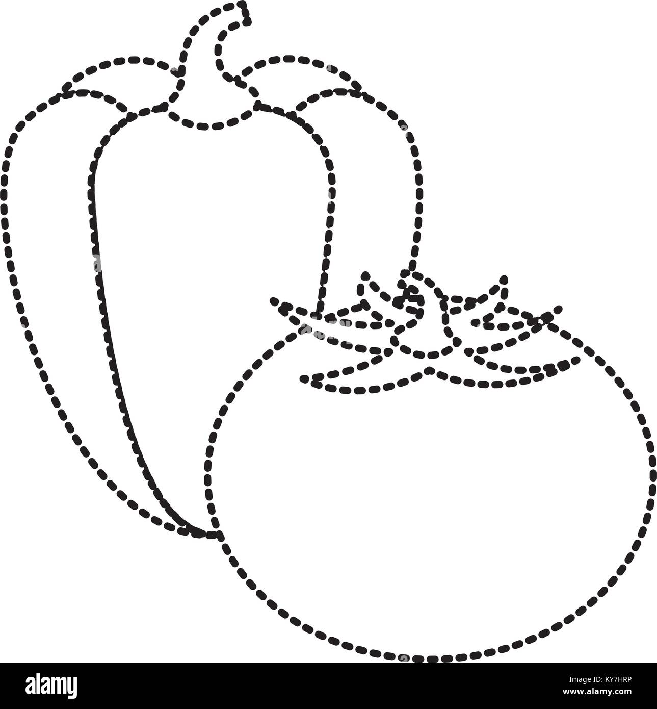 tomato and pepper vegetables nutrition vector illustration Stock Vector ...