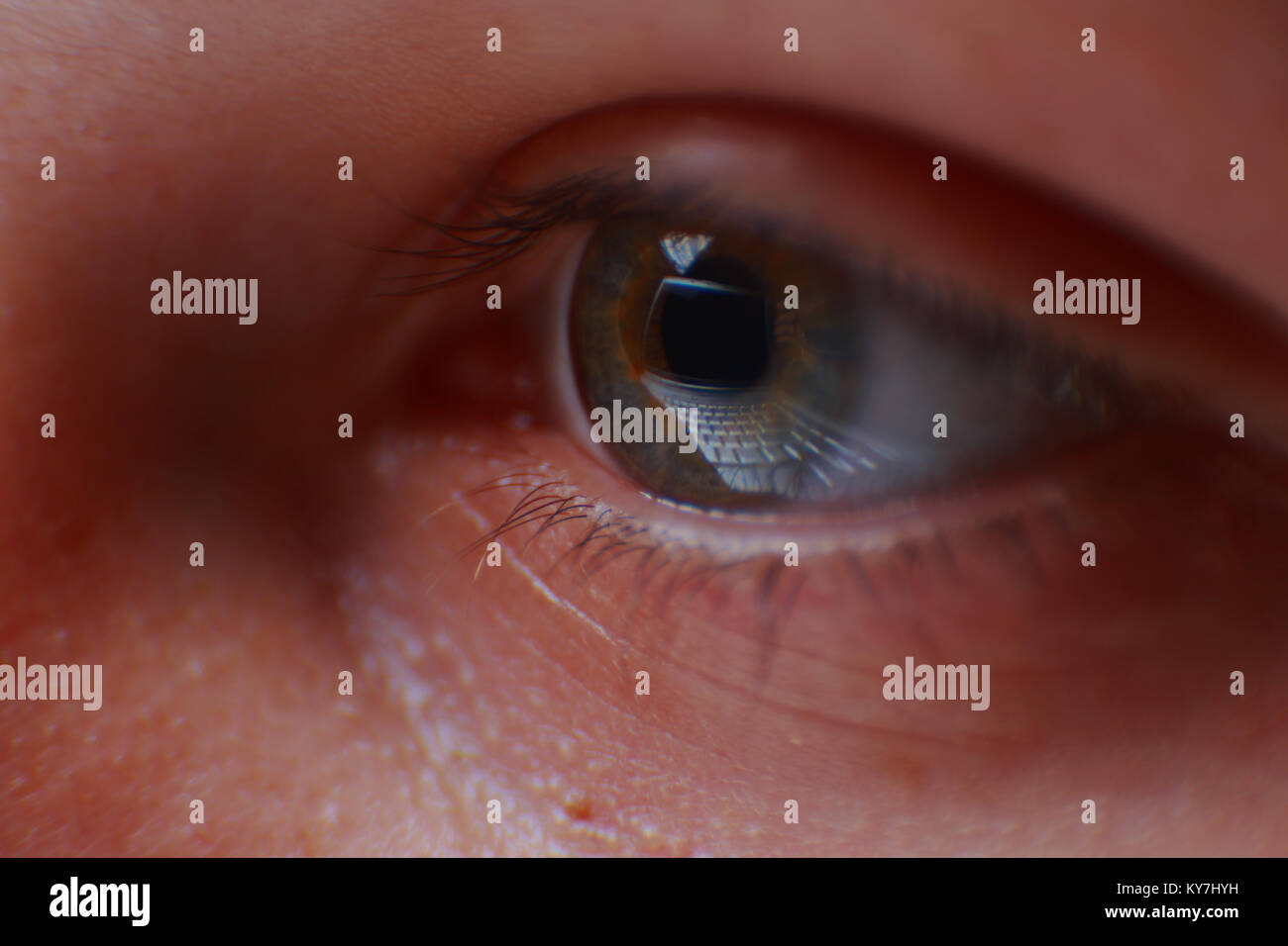 Reflection laptop in an eye Stock Photo - Alamy