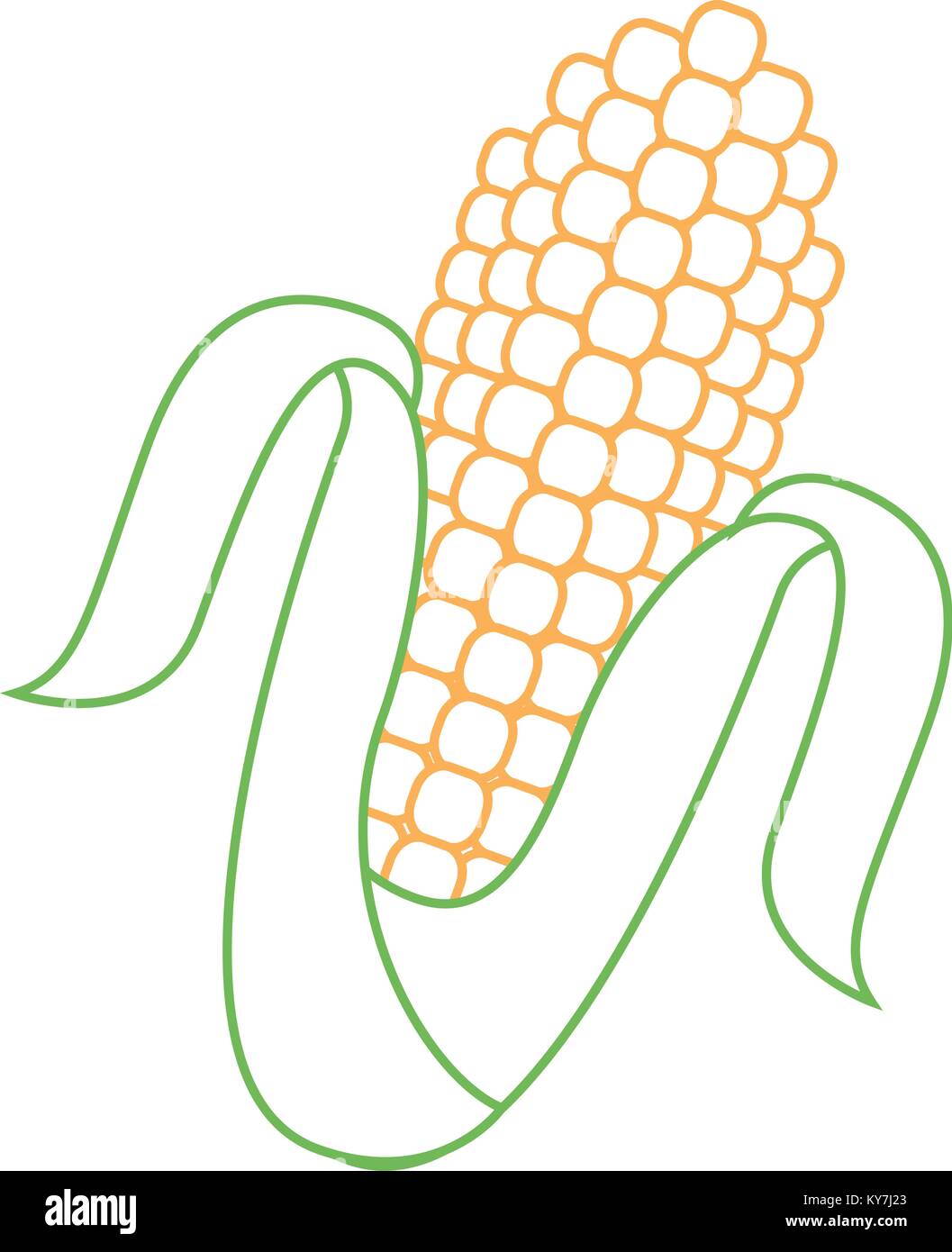 corn cob grain harvest raw icon vector illustration Stock Vector Image ...