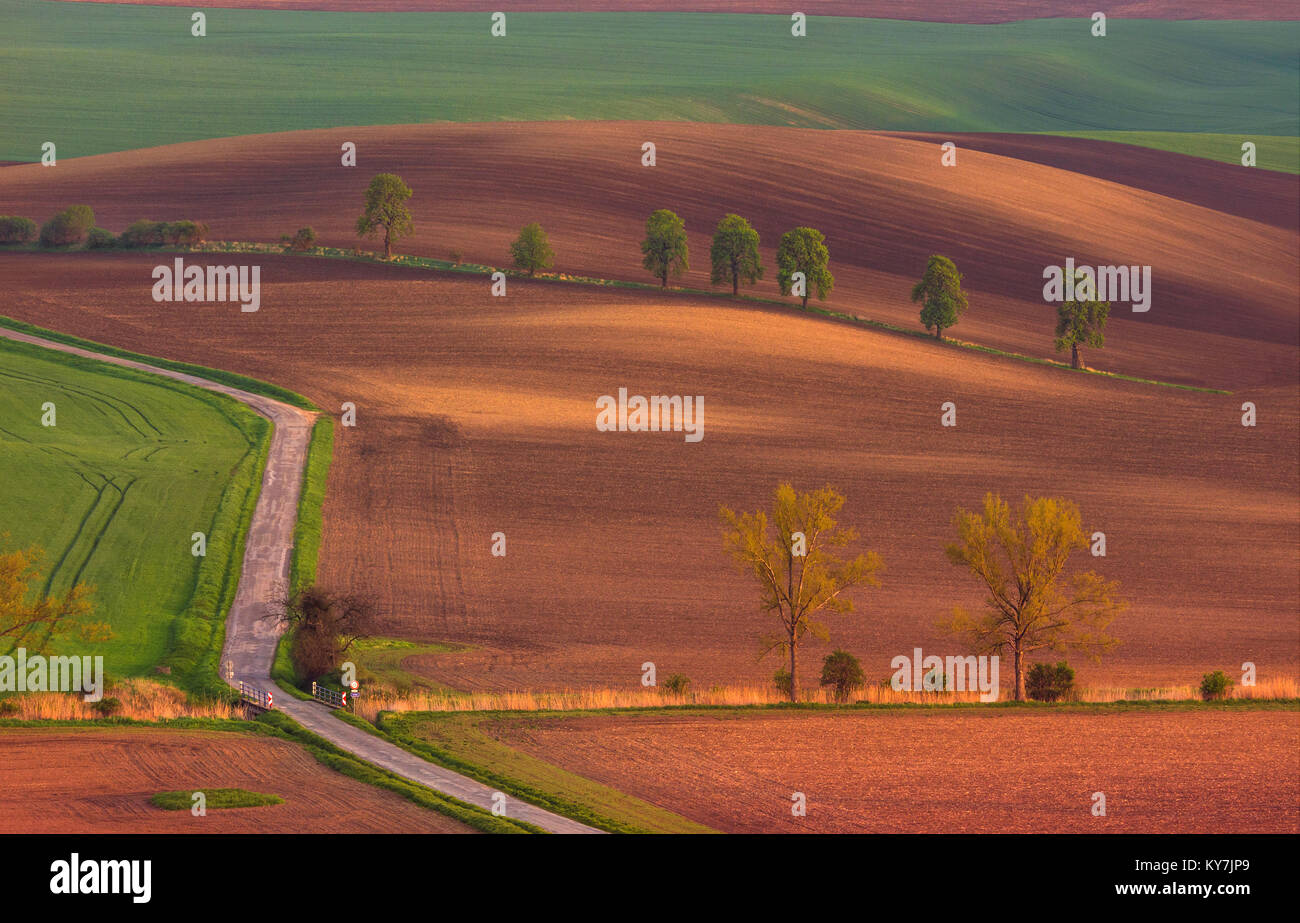 Rural abstract landscape with chestnut alley in South Moravia, Czech ...
