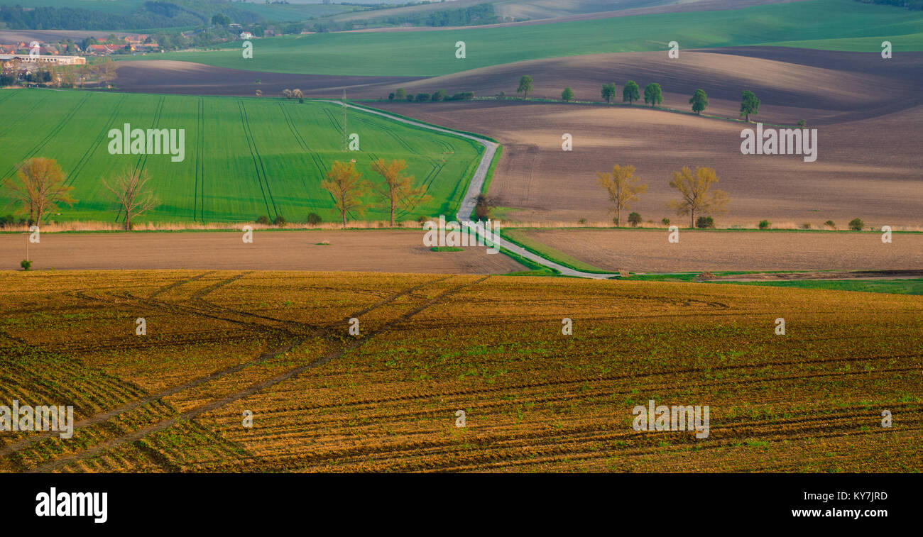 Rural abstract landscape with chestnut alley in South Moravia, Czech ...