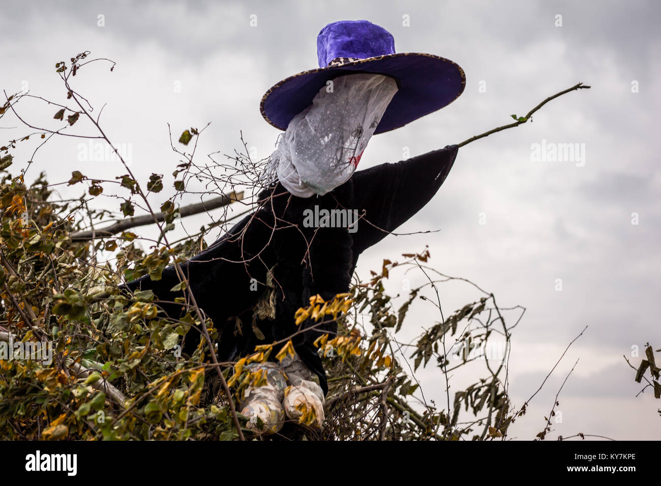 Burning a witch effigy is a Danish midsummer tradition on the 23th of ...