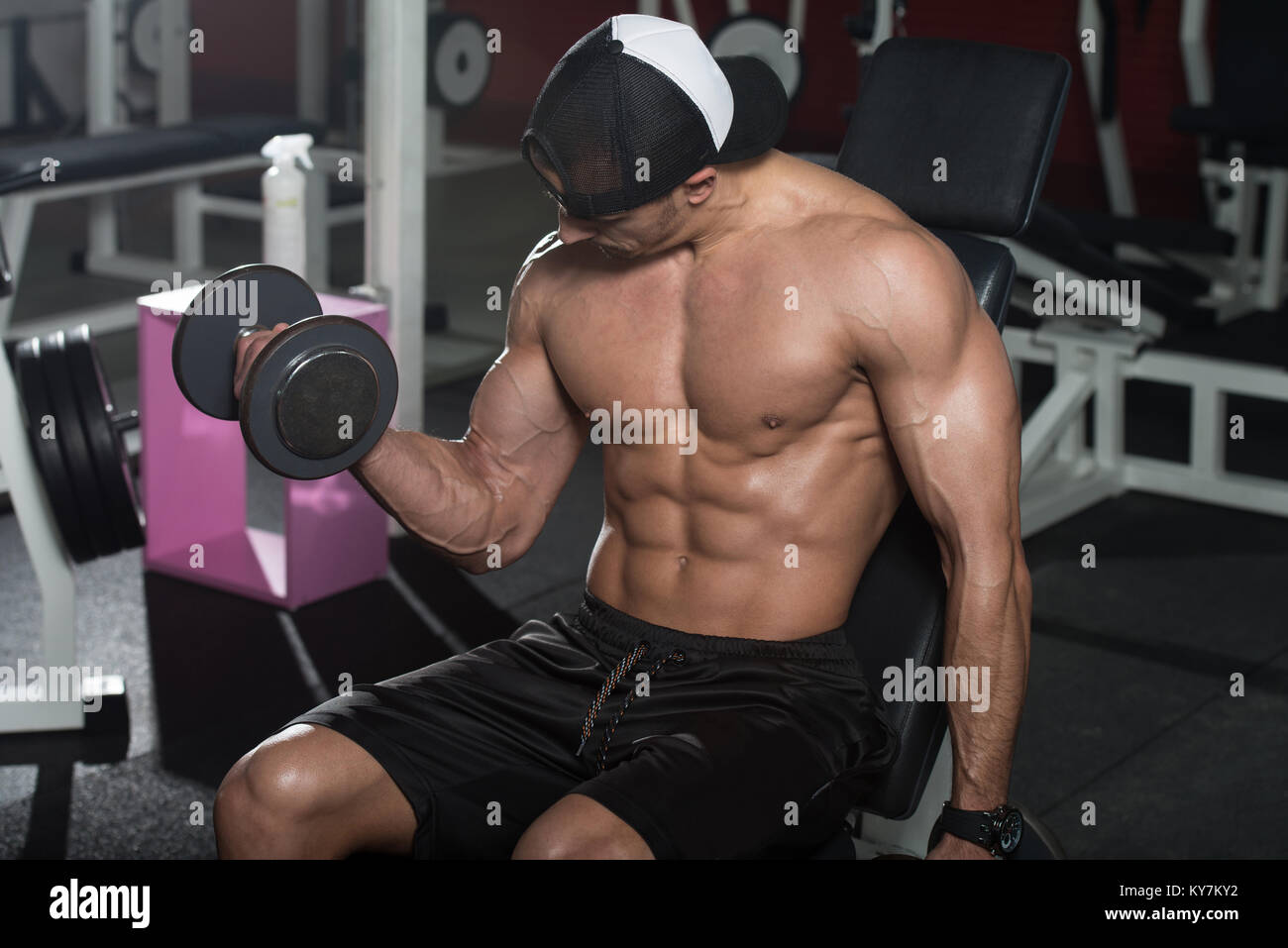Athlete Working Out Biceps In A Gym - Dumbbell Concentration Curls ...