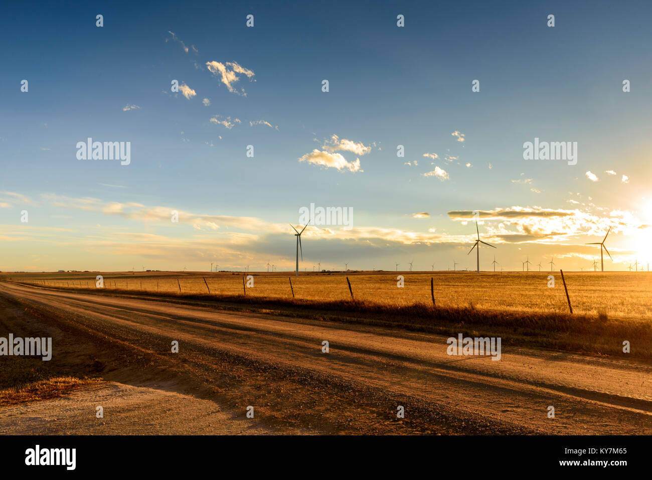 Sunny golden hour afternoon hi-res stock photography and images - Alamy