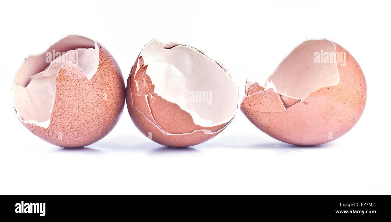 An empty shell of chicken eggs isolated on white background Stock Photo ...