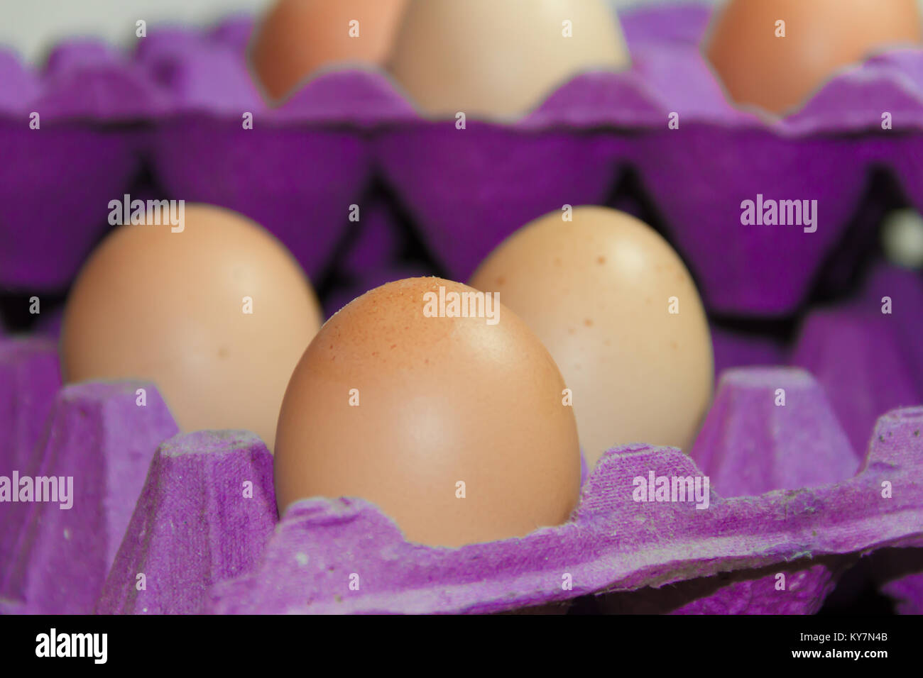 eggs packed in violet ultraviolet and lilac color card of the year ...