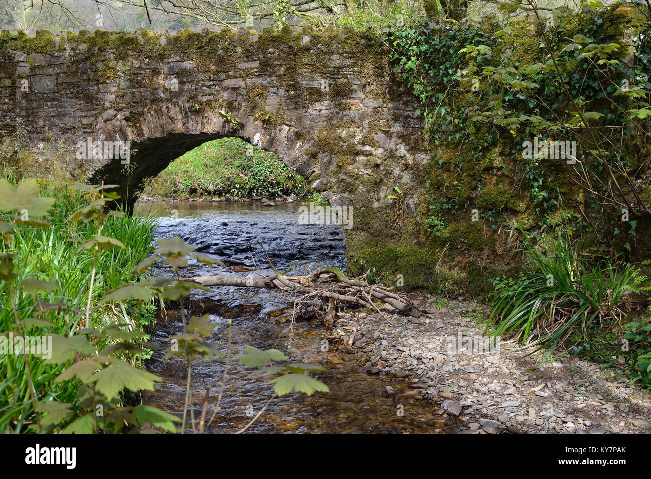 Pack Horse Bridge at Marsh Bridge, Dulverton, Exmoor, Somerset Stock ...