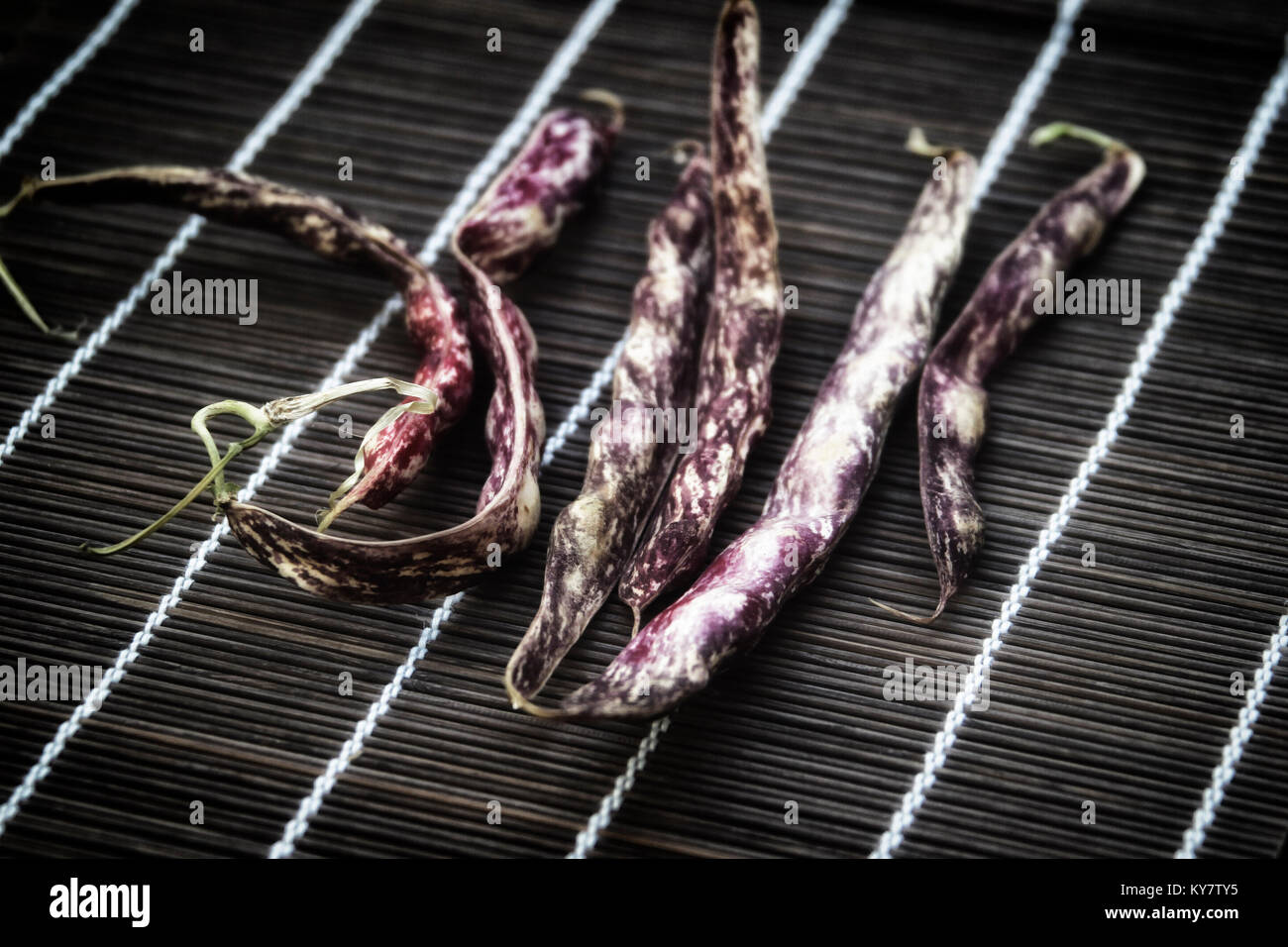 Pinto bean pod hi-res stock photography and images - Alamy