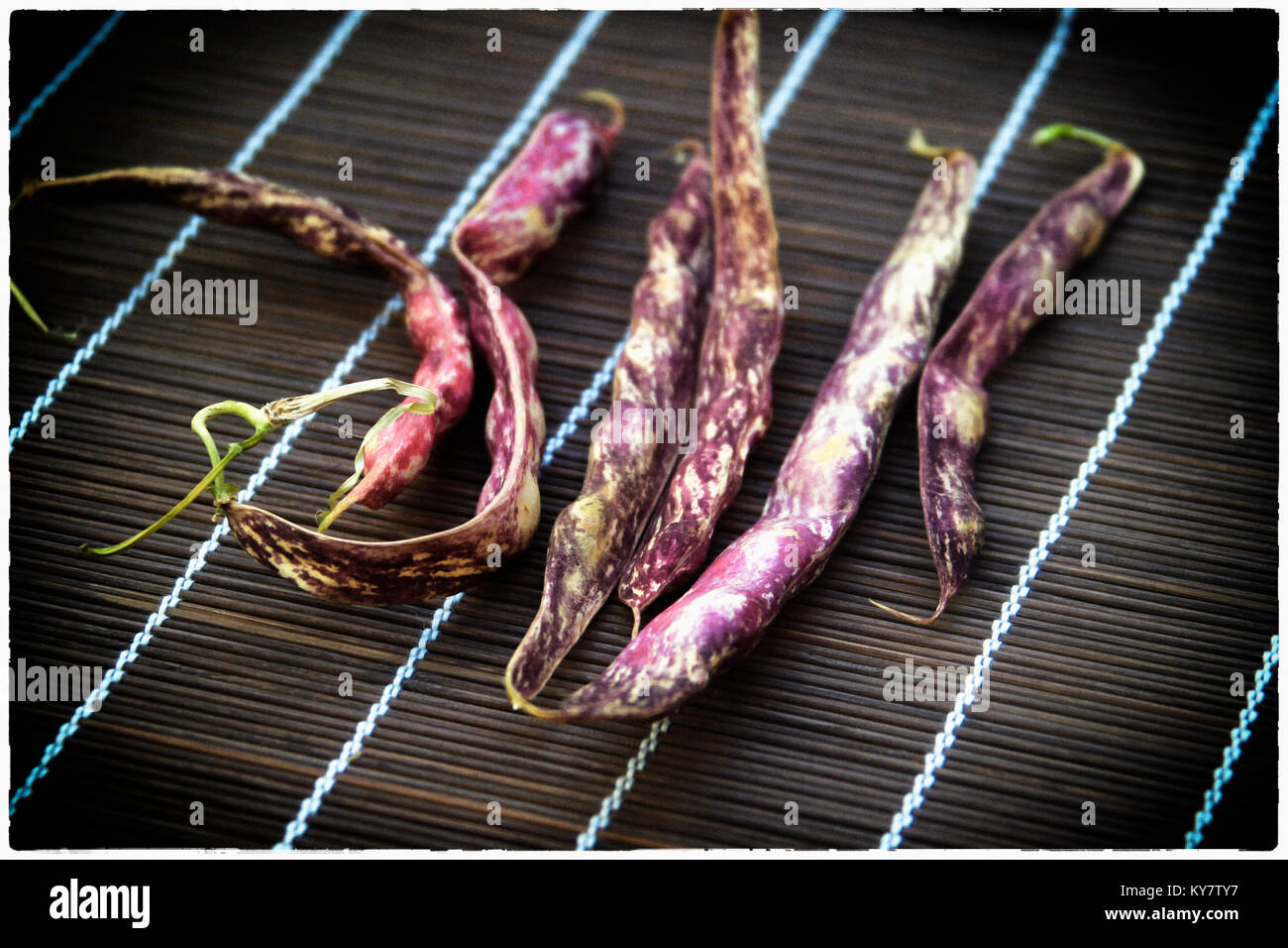 Pinto bean pod hi-res stock photography and images - Alamy